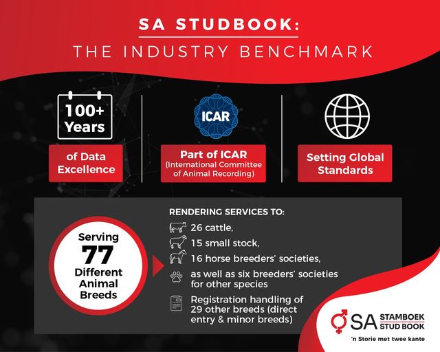 SA Studbook / SA Stamboek