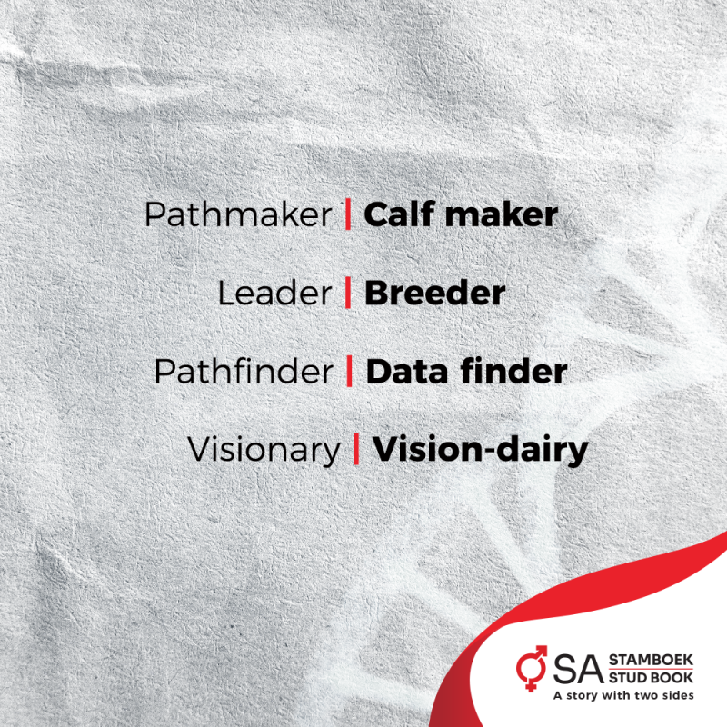 SA Studbook / SA Stamboek