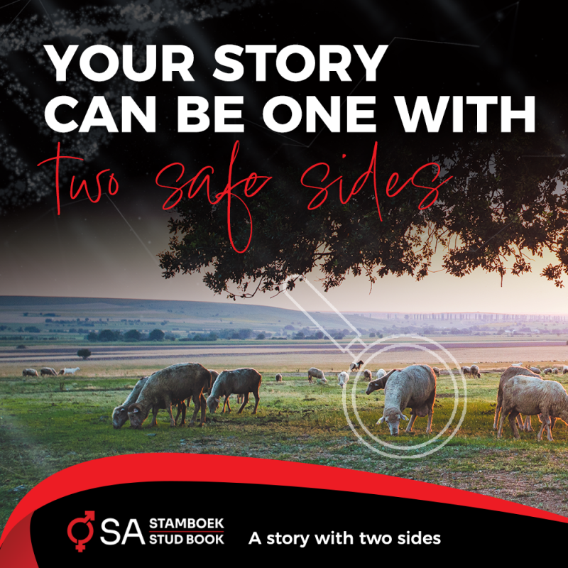 SA Studbook / SA Stamboek