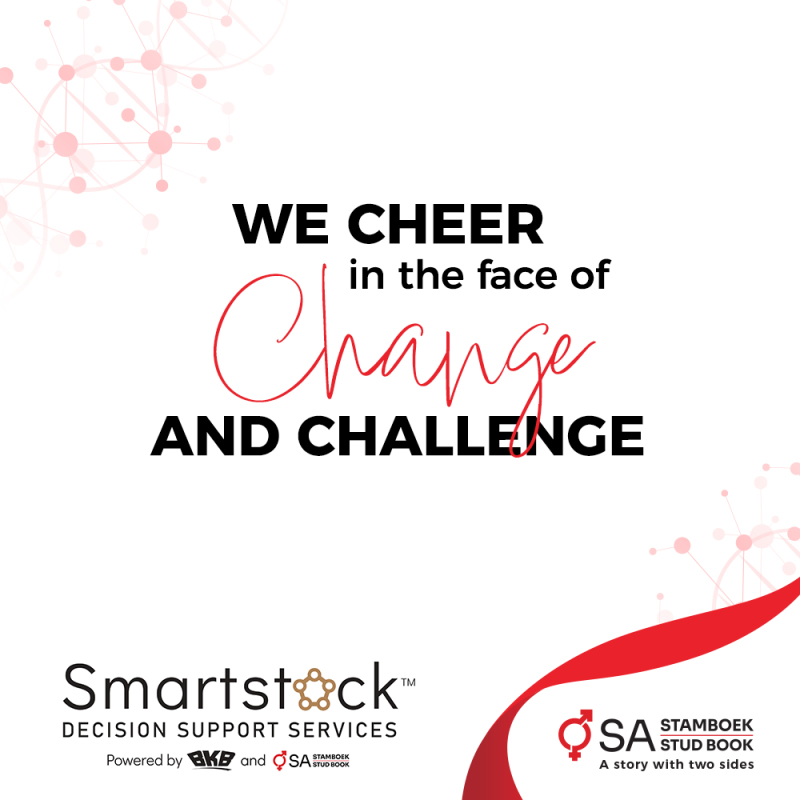 SA Studbook / SA Stamboek