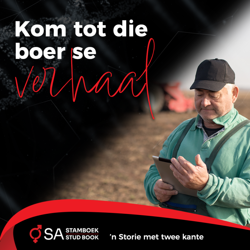 SA Studbook / SA Stamboek